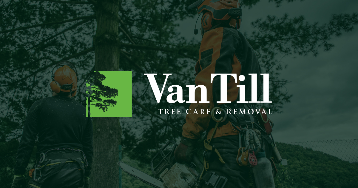 Peterborough Tree Services and Arborists | Van Till Tree Care